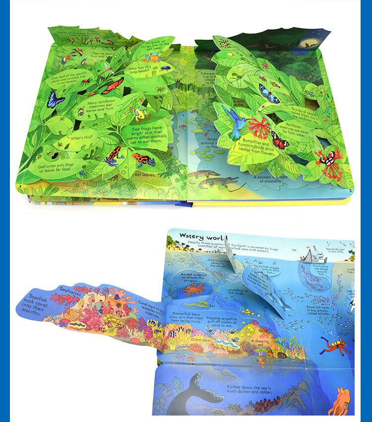 หนังสือเด็ก Usborne หนังสือ Look Inside Our World Lift The Flap Book ...