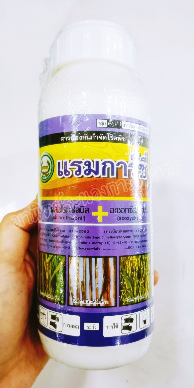 แรมการ์ซี่ (คลอโรทาโลนิล+อะซอกซีสโตบิน) ยับยั้งการกระจายของสปอร์เชื้อรา ขนาด 500 มล. | Lazada.co.th
