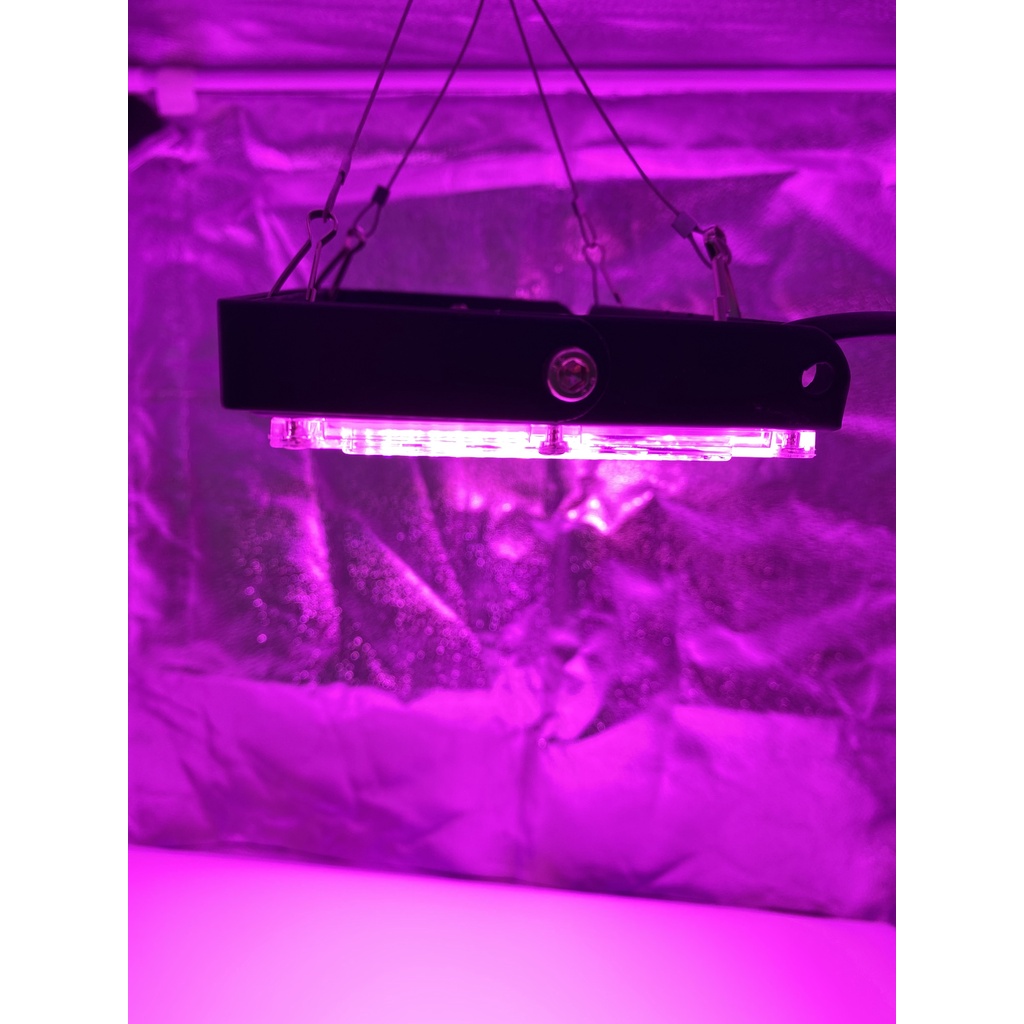220V Full Spectrum LED Grow Light 50W ไฟปลุกต้นไม้ ไฟช่วยต้นไม้ตัวเร็ว ...