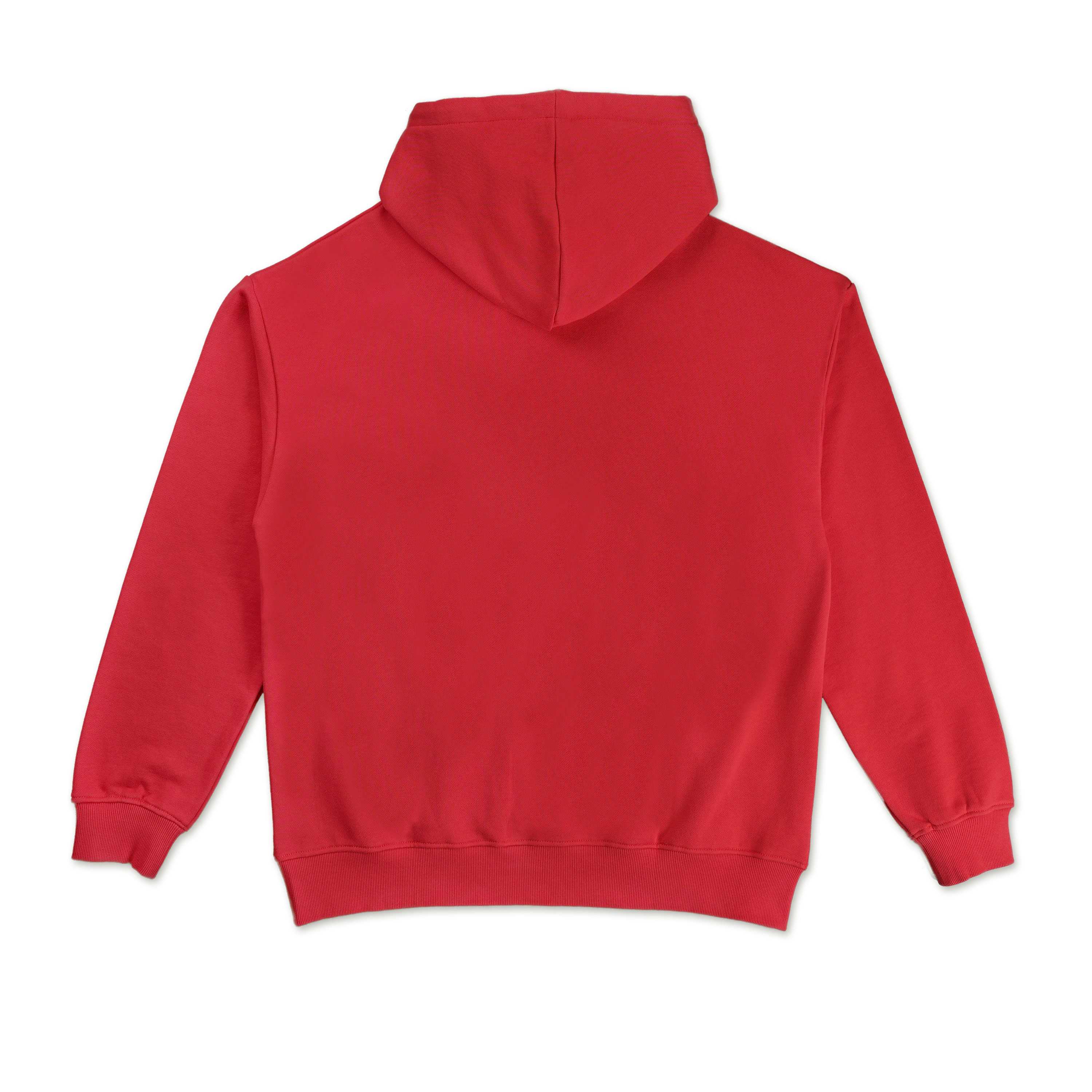 SMALL LOGO HOODIE (RED) - ASTRO Stuffs - ThaiPick