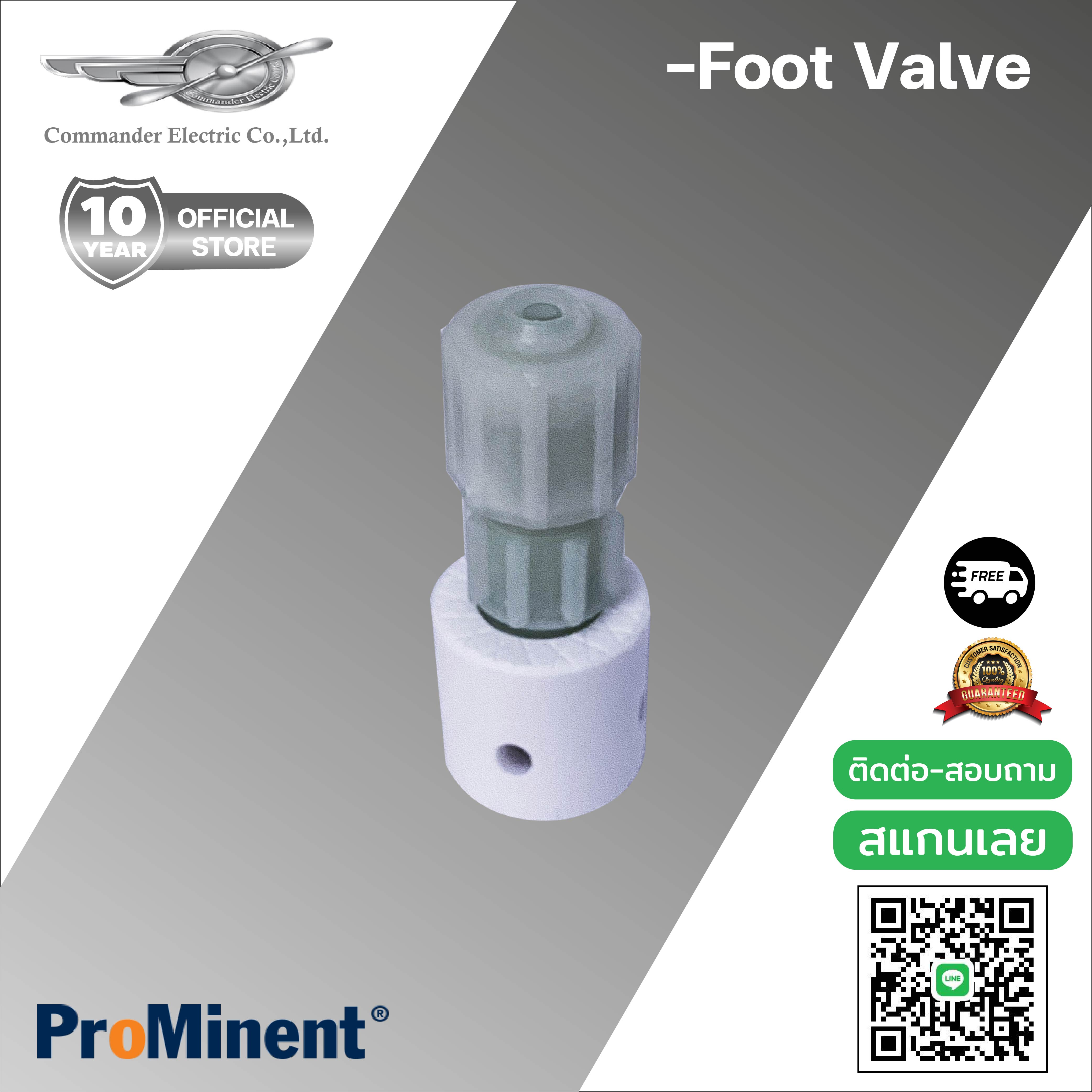 อะไหล่ปั๊ม Prominent Foot Valve, Injection Valve, Connector, สาย PE ...