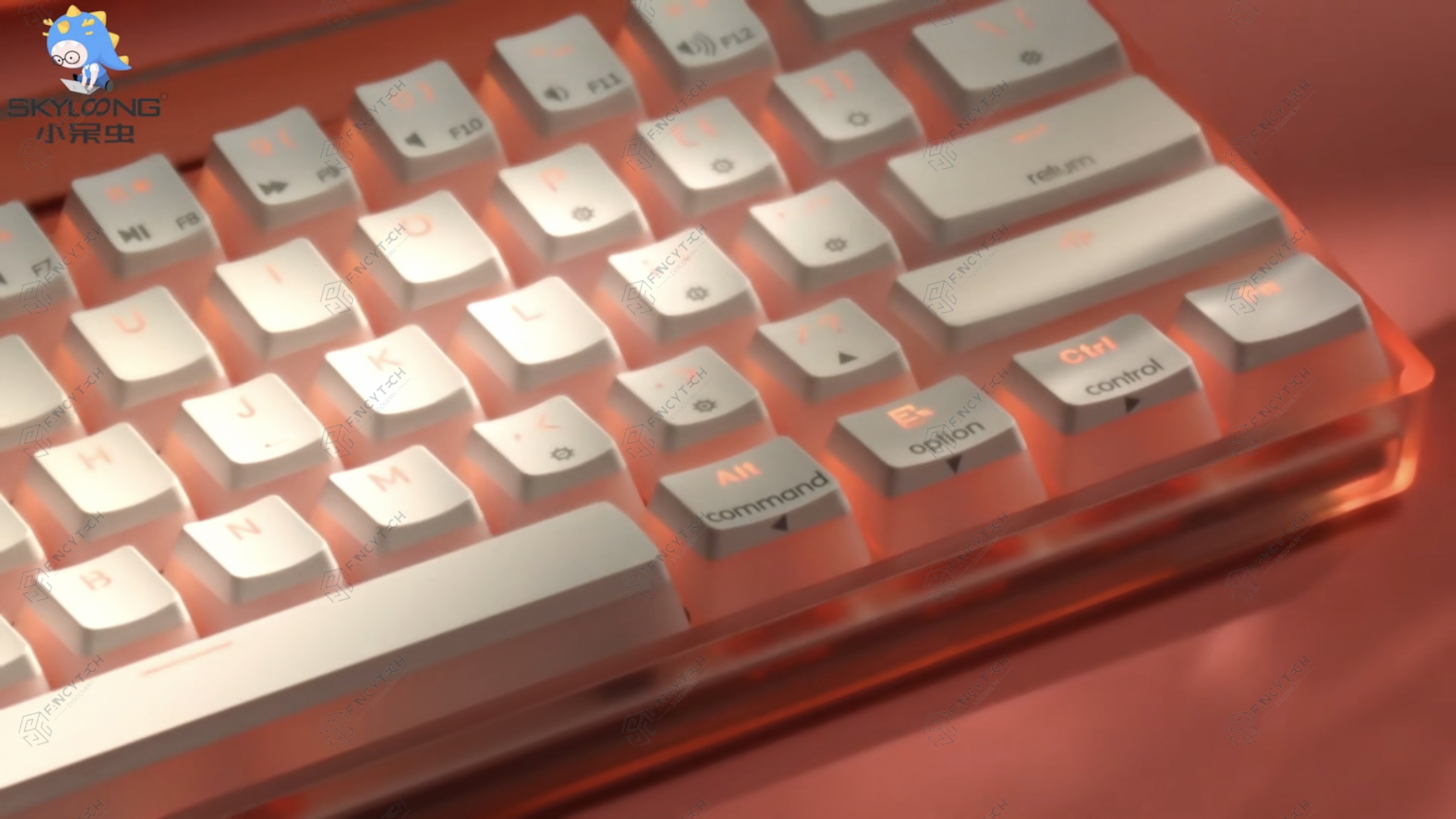 [Hot-Swappable]SKYLOONG AK61 คีย์บอร์ด Gaming Mechanical Keyboard ...