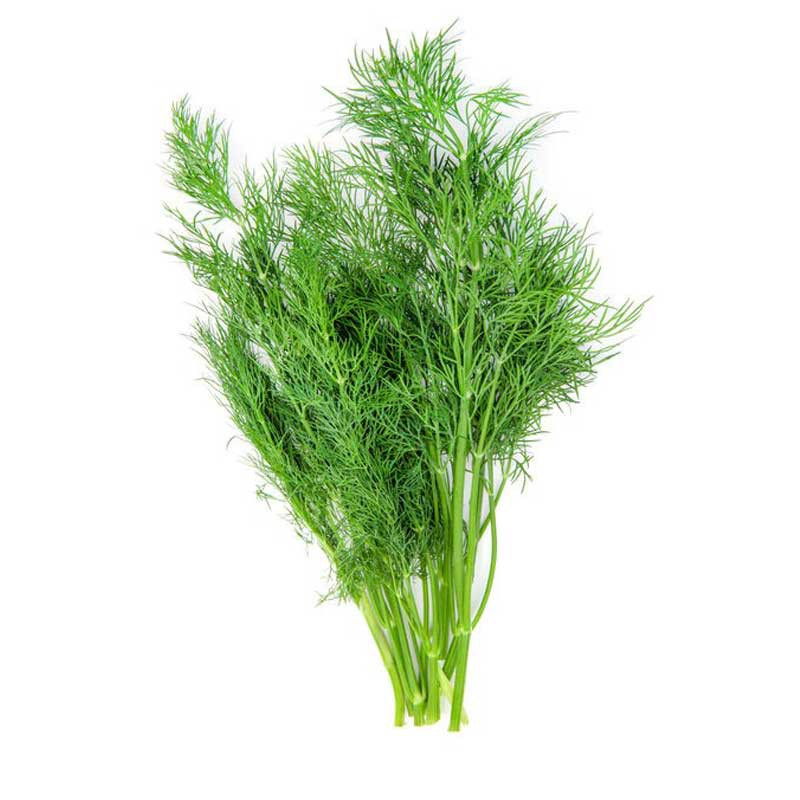 [ติดตามรับโค้ด10%] เมล็ดผักสวนครัว เมล็ดผักแบ่งขาย เหมาะสำหรับทดลองปลูก ...