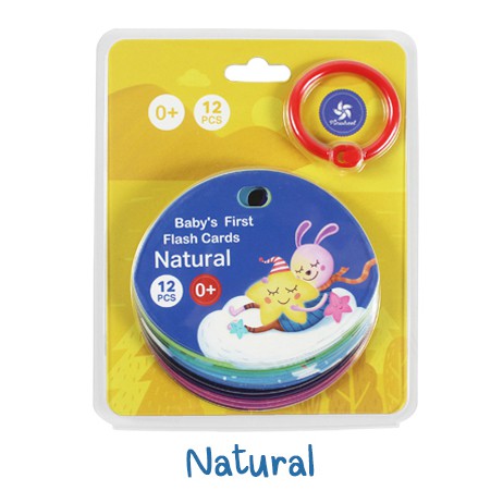 Pinwheel การ์ดคำศัพท์ First Flash Cards | Lazada.co.th
