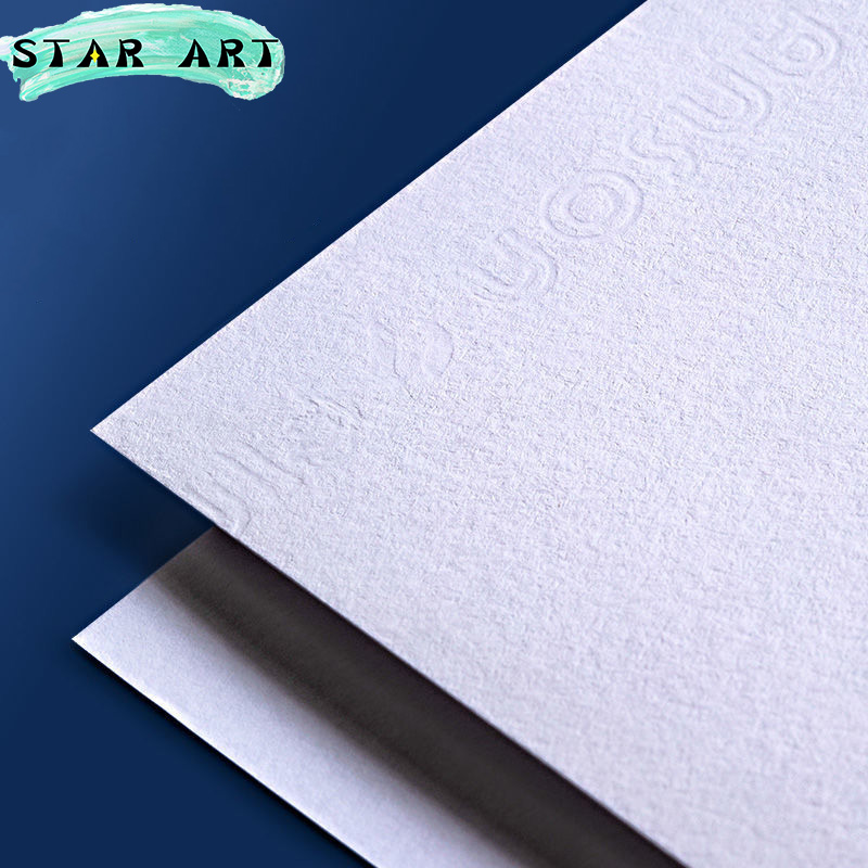 CANSON 20แผ่น Canson Professional กระดาษร่างภาพ8K 4K ละเอียดหนาหยาบ ...