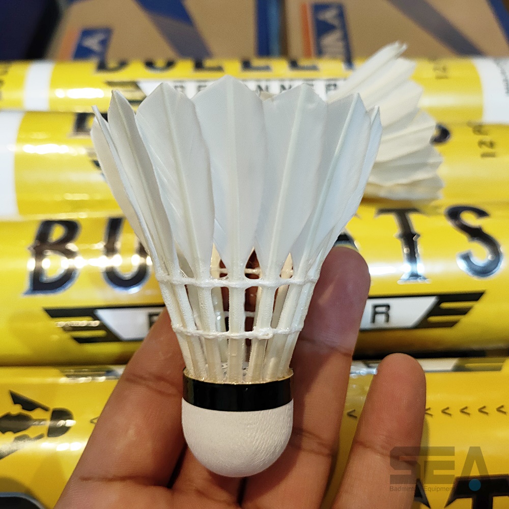 BULLETS ลูกแบดมินตัน เกรด Beginner แท้ - C-Badminton - ThaiPick