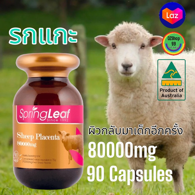 ของแท้100 SpringLeaf Sheep Placenta 80000MG. รกแกะนางงาม 90 แคปซูล ...