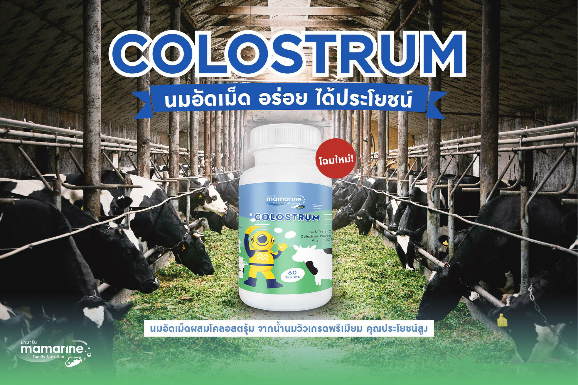 Mamarine Colostrum มามารีน น้ำนมสีเหลือง อร่อย ทานง่าย ได้ประโยชน์ [60 เม็ด] - Ecovit - ThaiPick