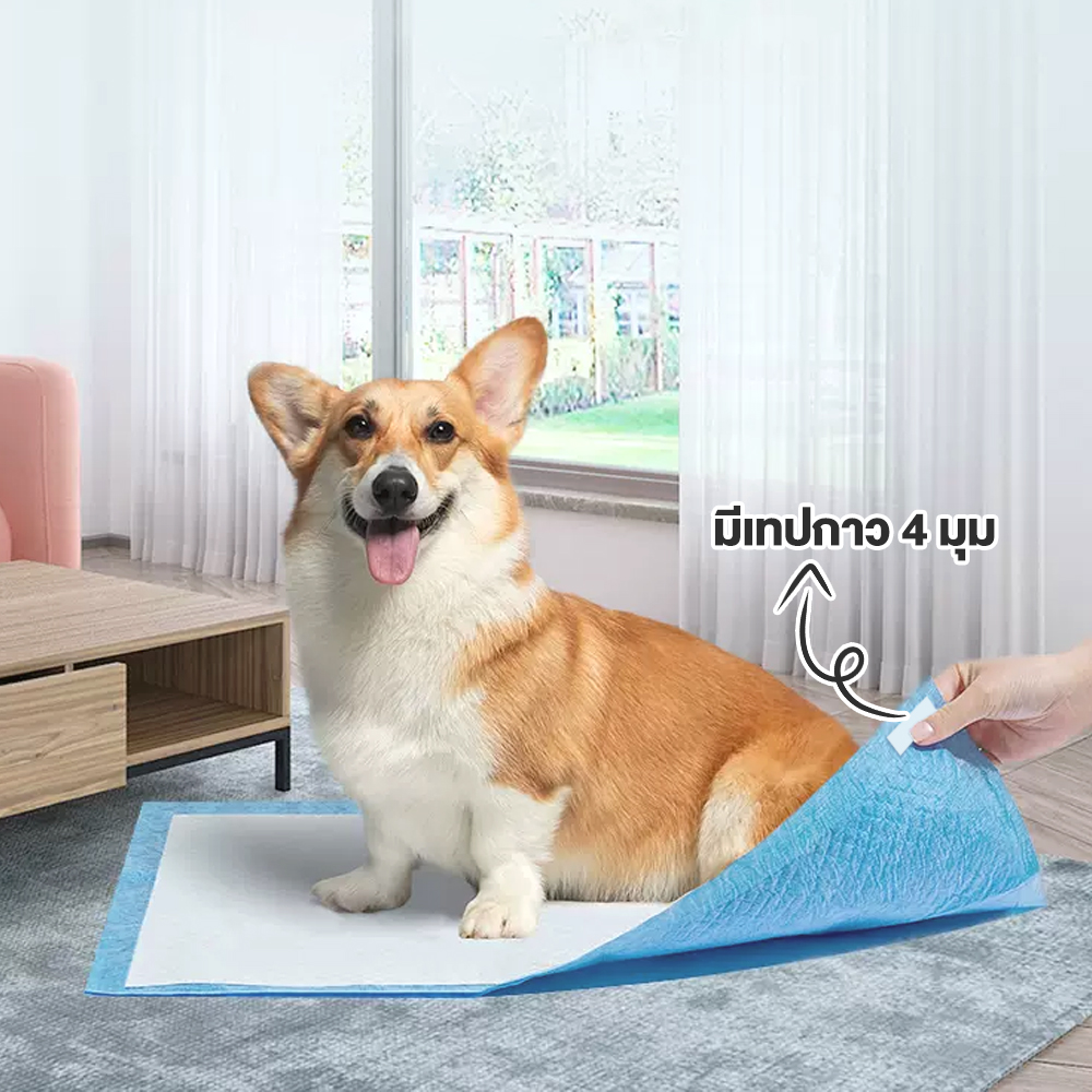 PetStern แผ่นรองฉี่สุนัข ช่วยฝึกขับถ่าย การดูดซับน้ำ6ชั้น ระงับกลิ่นได้ ...