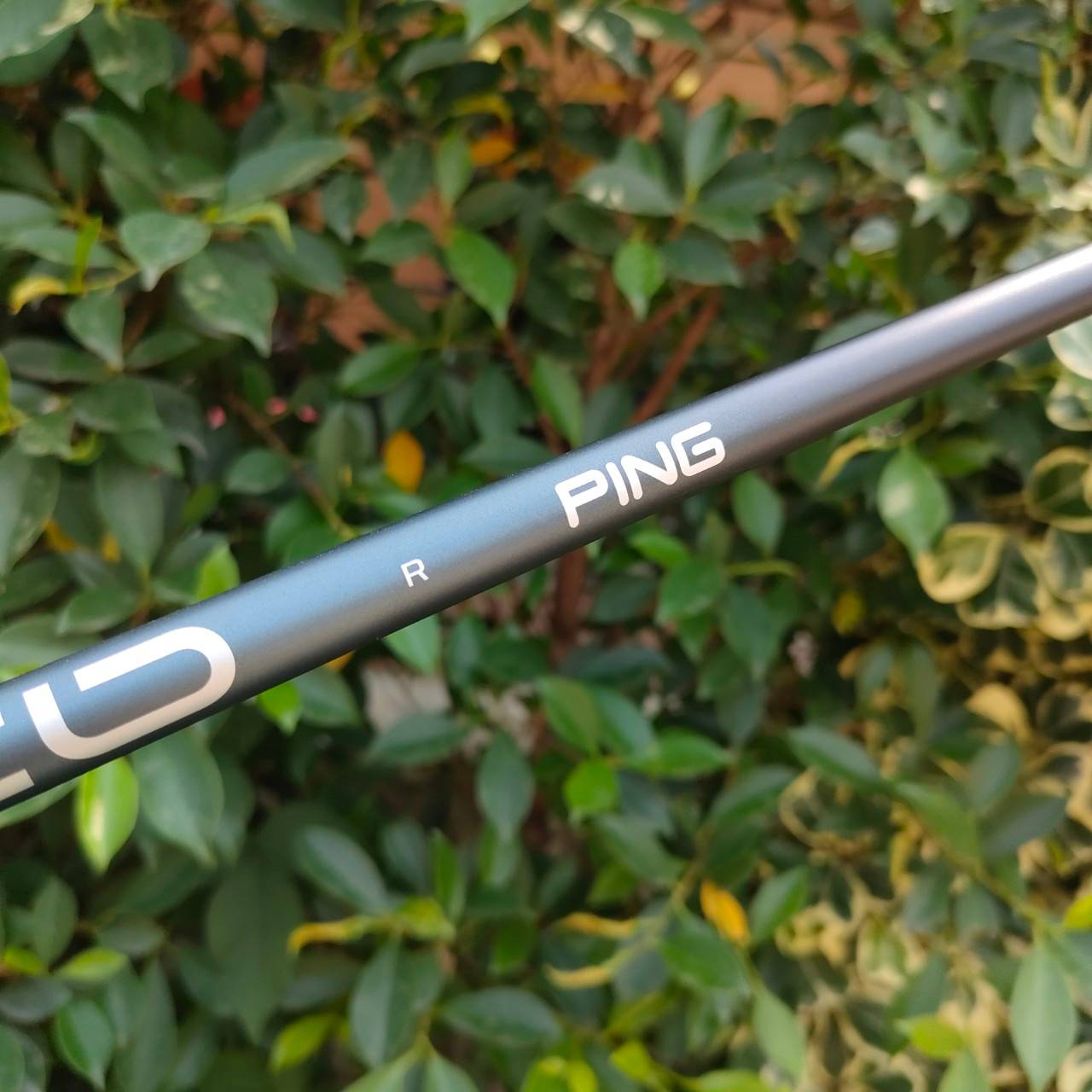 ผ่อน FW3 PING G425 SFT องศา 16 ก้าน ALTA่ JCB FLEX R รุ่น SFT แก้ตีเฟด ...