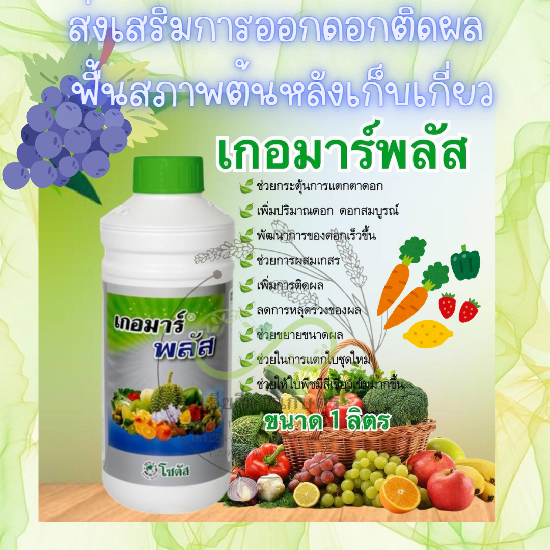 กอมาร์ พลัส (Goemar Plus) ช่วย ส่งเสริมการออกดอกติดผล ฟื้นสภาพต้นหลัง ...