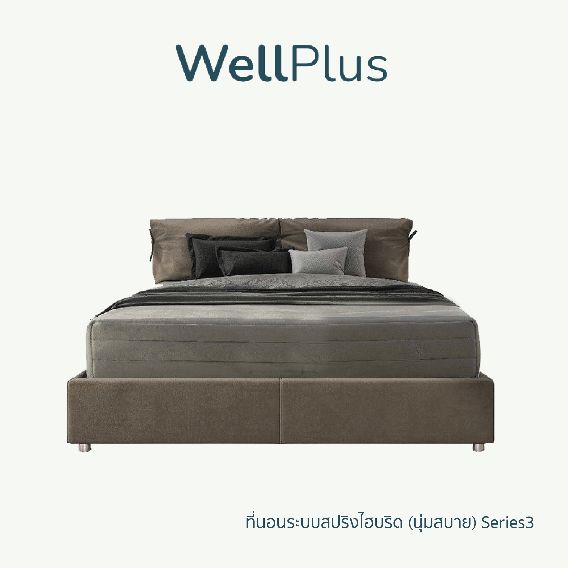 WellPlus [9นิ้ว] สปริงเสริมยางพารา รุ่น Series 2 กับ รุ่น Series 3 | Lazada.co.th