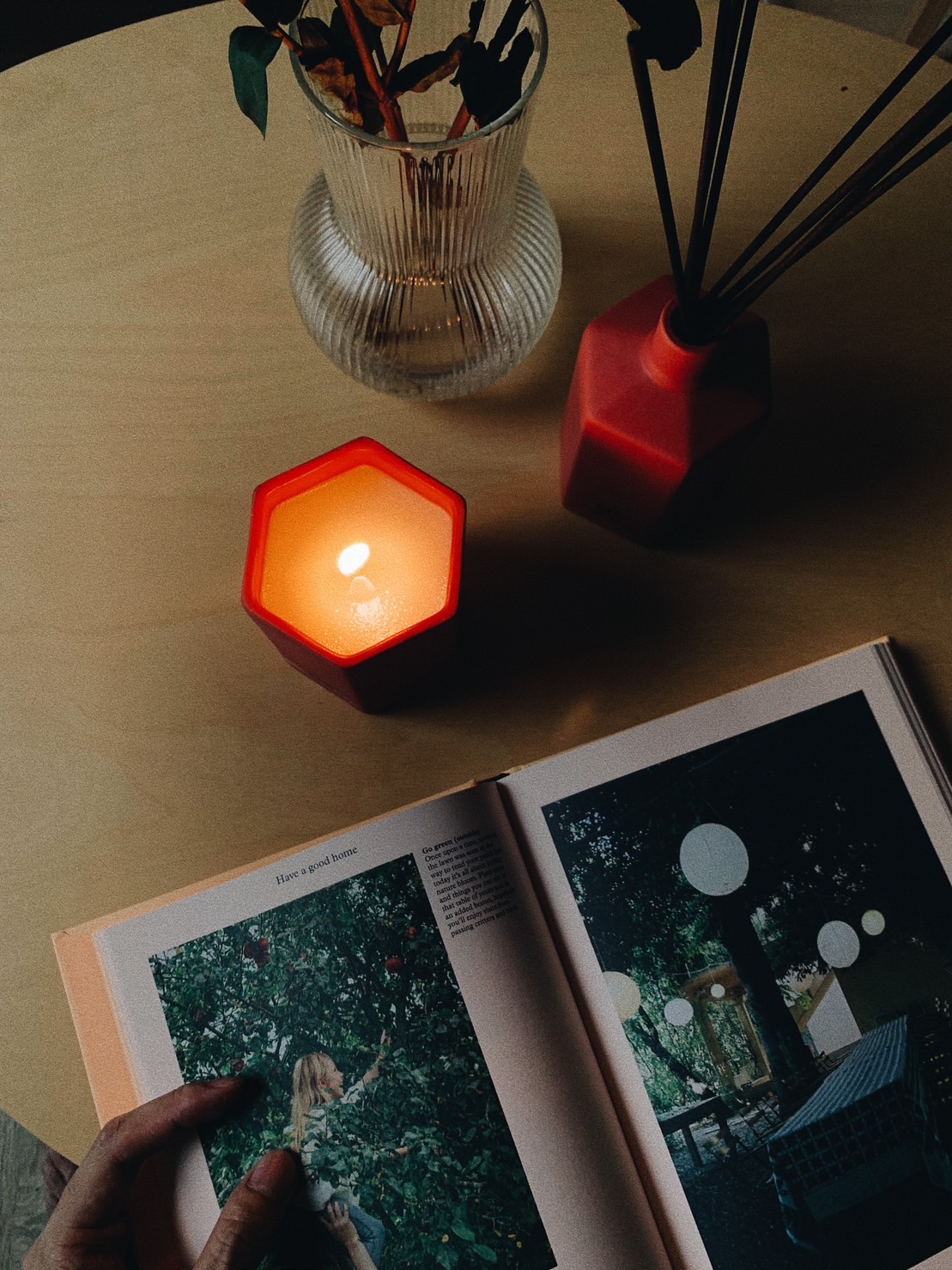 Erb Maison Rose rogue Reed 200ml. ก้านหอมตกแต้งบ้าน กลิ่นกุหลาบ - Erb ...