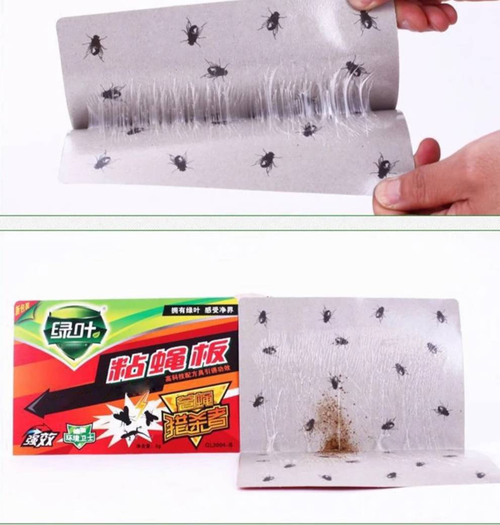 10PCS Authentic Fly Trap Efficient Flies Killer Sticky Board Insect ...