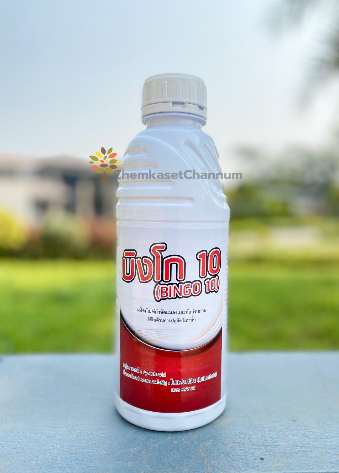 บิงโก 10 (สินค้าผลิตใหม่ ของแท้แน่นอน 💯) - ไบเฟนทริน 10% W/V EC น็อคเย็น ดูดซึม ไอระเหย ขนาด ...