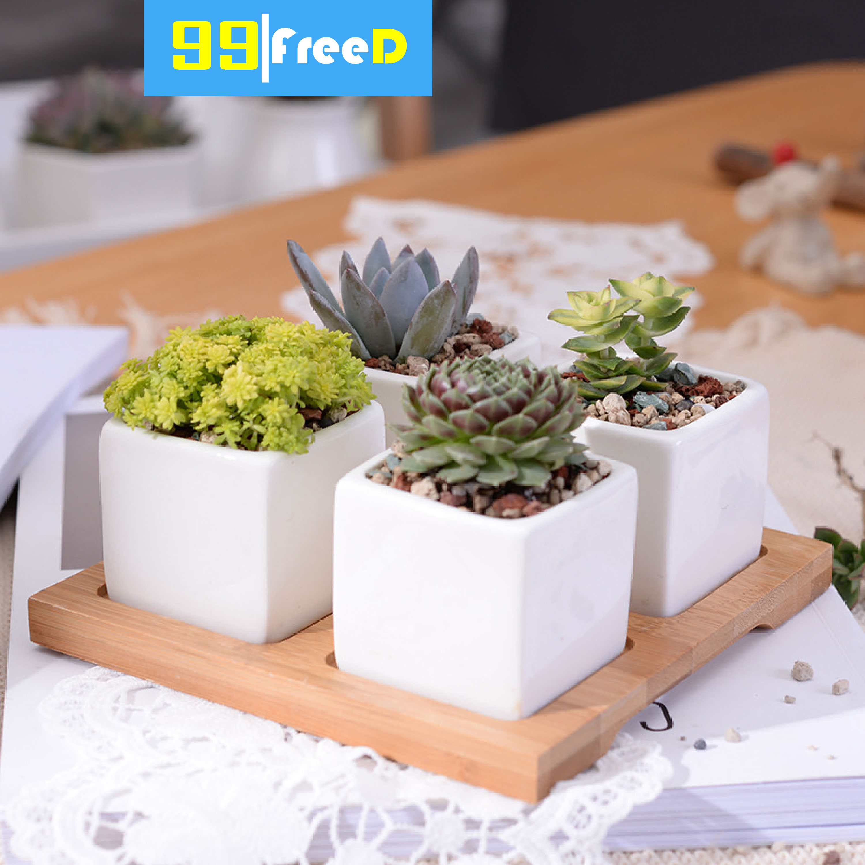 White ceramic plant pot set, 4 * 4 with wooden tray, size 14.5x5 cm ...