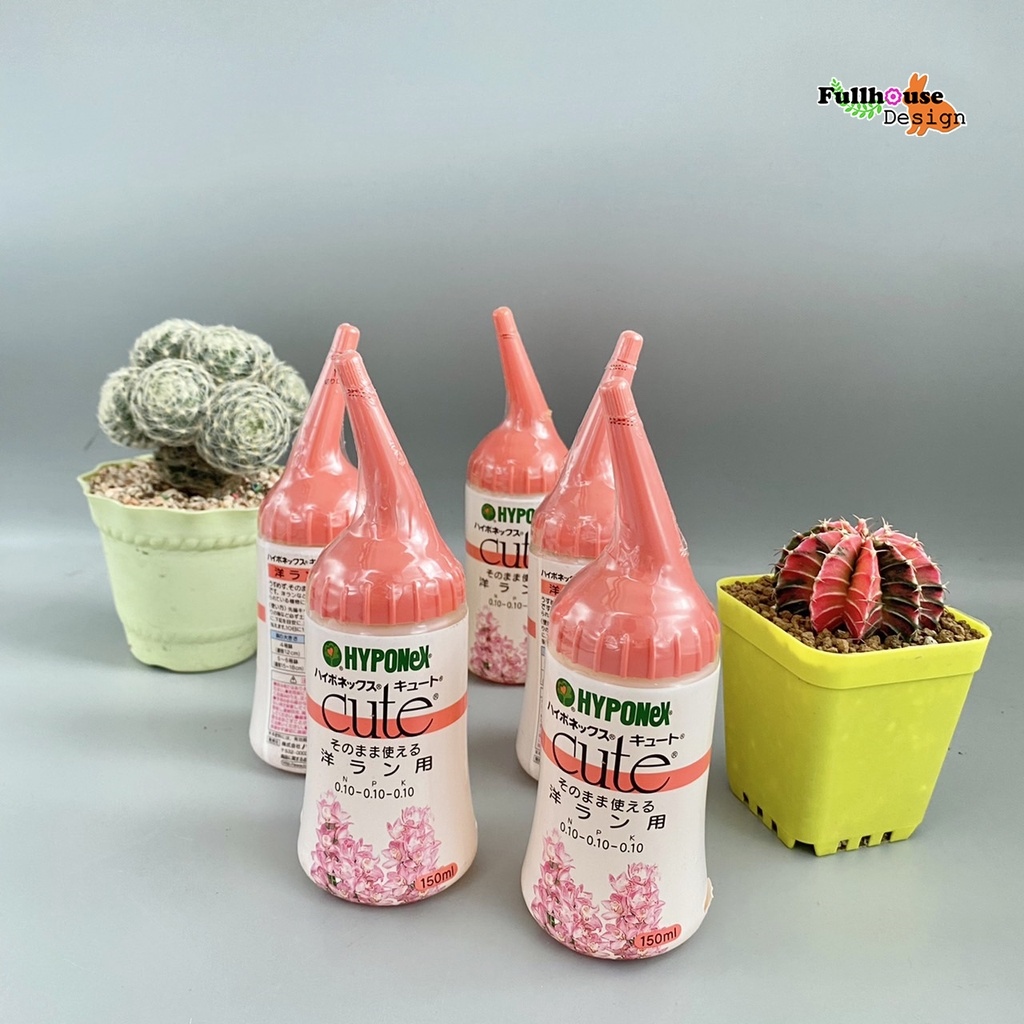 HYPONEX CUTE ปุ๋ย (ไฮโพเนกซ์) สำหรับ กล้วยไม้ ดอกไม้ ไม้ด่าง ให้แข็งแรง โตเร็ว สีสันสดใส ปุ๋ยน้ำ ...