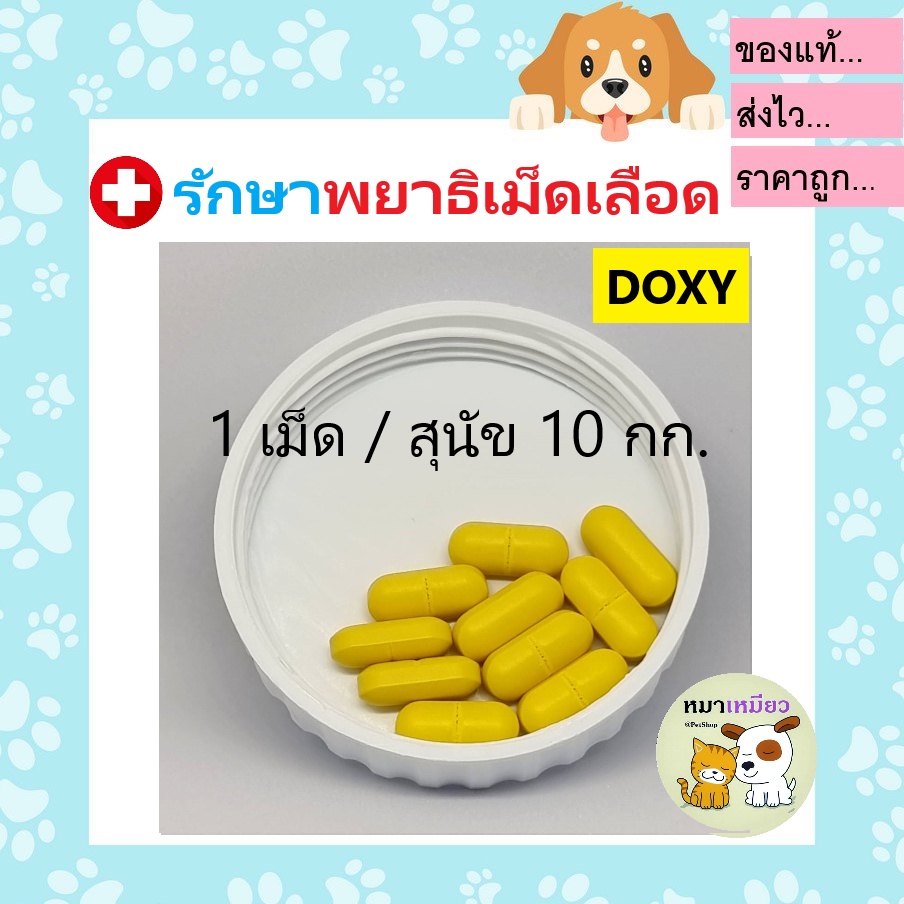 Doxy เม็ด รักษาพยาธิเม็ดเลือดสุนัข - Notalres - ThaiPick
