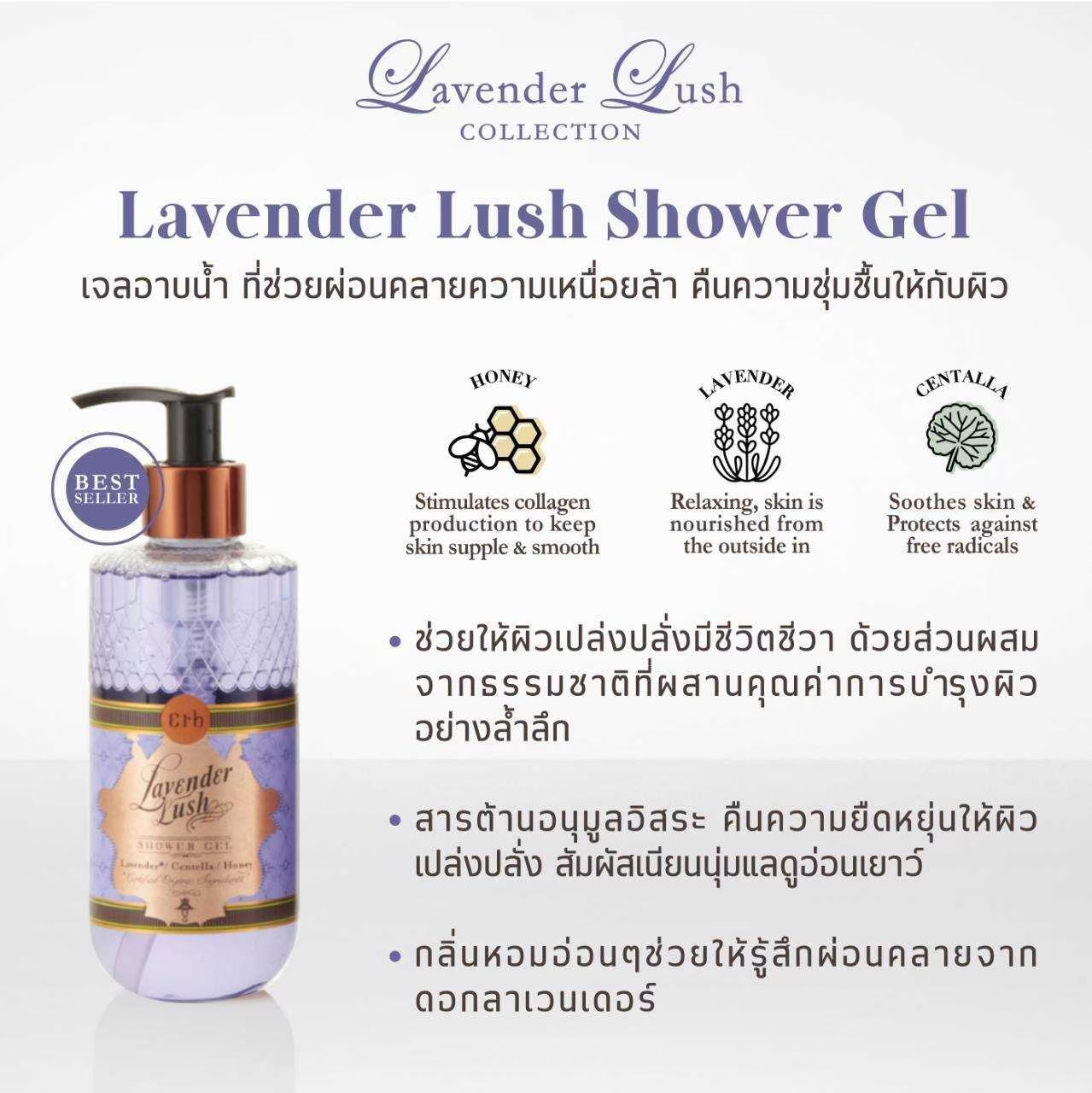 Erb Step by step Overnight Repair Lavender Lush Set เซ็ทบำรุงผิวกายกลิ่น ลาเวนเดอร์ สูตรบำรุง ...