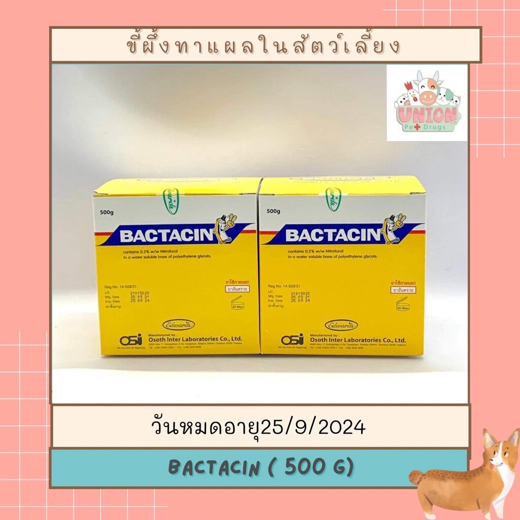 ผลิตภัณฑ์ดูแลสัตว์เลี้ยง ป้ายแผลสัตว์ Bactacin แบคตาซิน ขี้ผึ้งใส่แผล แบบกระปุก 500 กรัม วัน ...