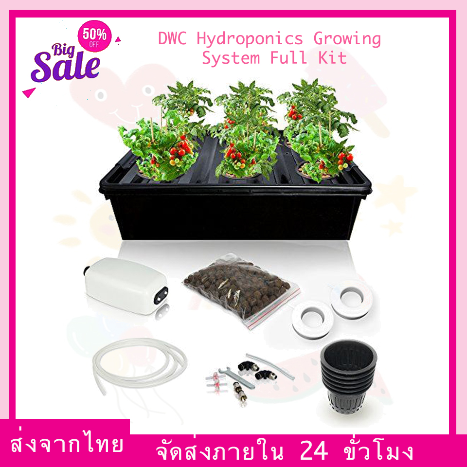(ส่งจากไทย) DWC Hydroponics Growing System Full Kit แถม Airstone ...