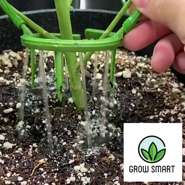 Grow Smart Drip Ring วงแหวนรดน้ำ วงแหวนน้ำหยด irrigation drip ring ...