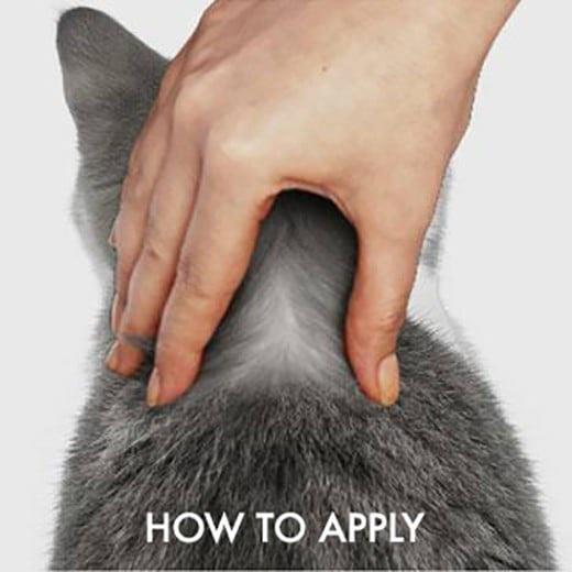 HOT SALE (1 ขวด) catty line ยาหยอดหมัดแมว สูตรอ่อนโยน ยาหยอดเห็บหมัดแมว ...