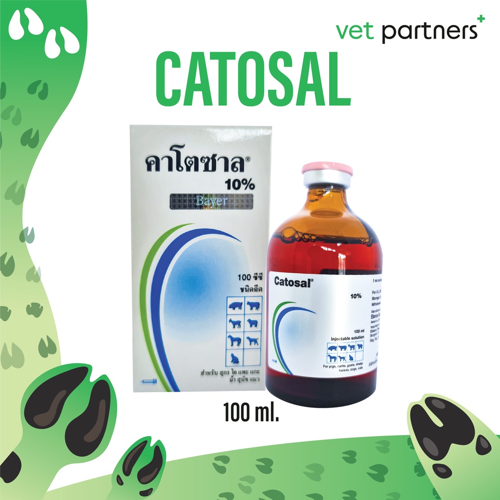 ข้อเสนอสุดพิเศษ ส่งทันที CATOSAL 10 100 mlคาโตซาล 10 100 มล.(ยาบำรุง ...