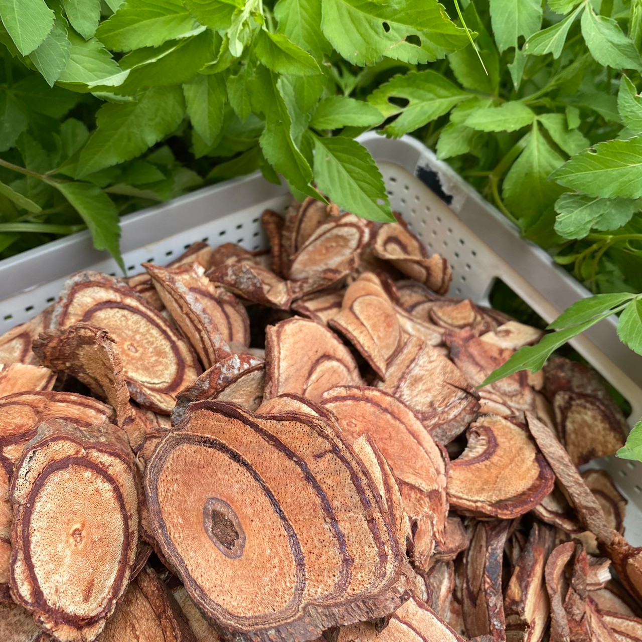 กวาวเครือแดง (Butea superba Roxb) บรรจุ 50/100 กรัม สินค้าพร้อมส่ง ...