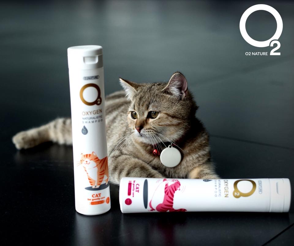 O2 Shampoo แชมพูอาบน้ำแมว Cat Mild 200 ml กำจัดยีสต์และราแมว หอมหลายวัน ...