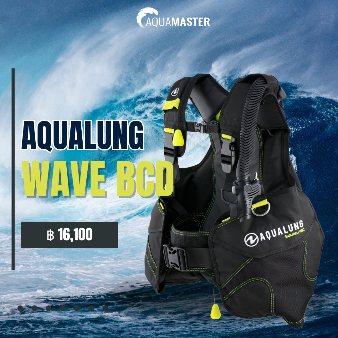 Aqualung Wave Scuba Diving BCD - เสื้อ BCD สำหรับดำน้ำ - เสื้อแจ็กเก็ตดําน้ํา BCD - ชุดควบคุมการ ...