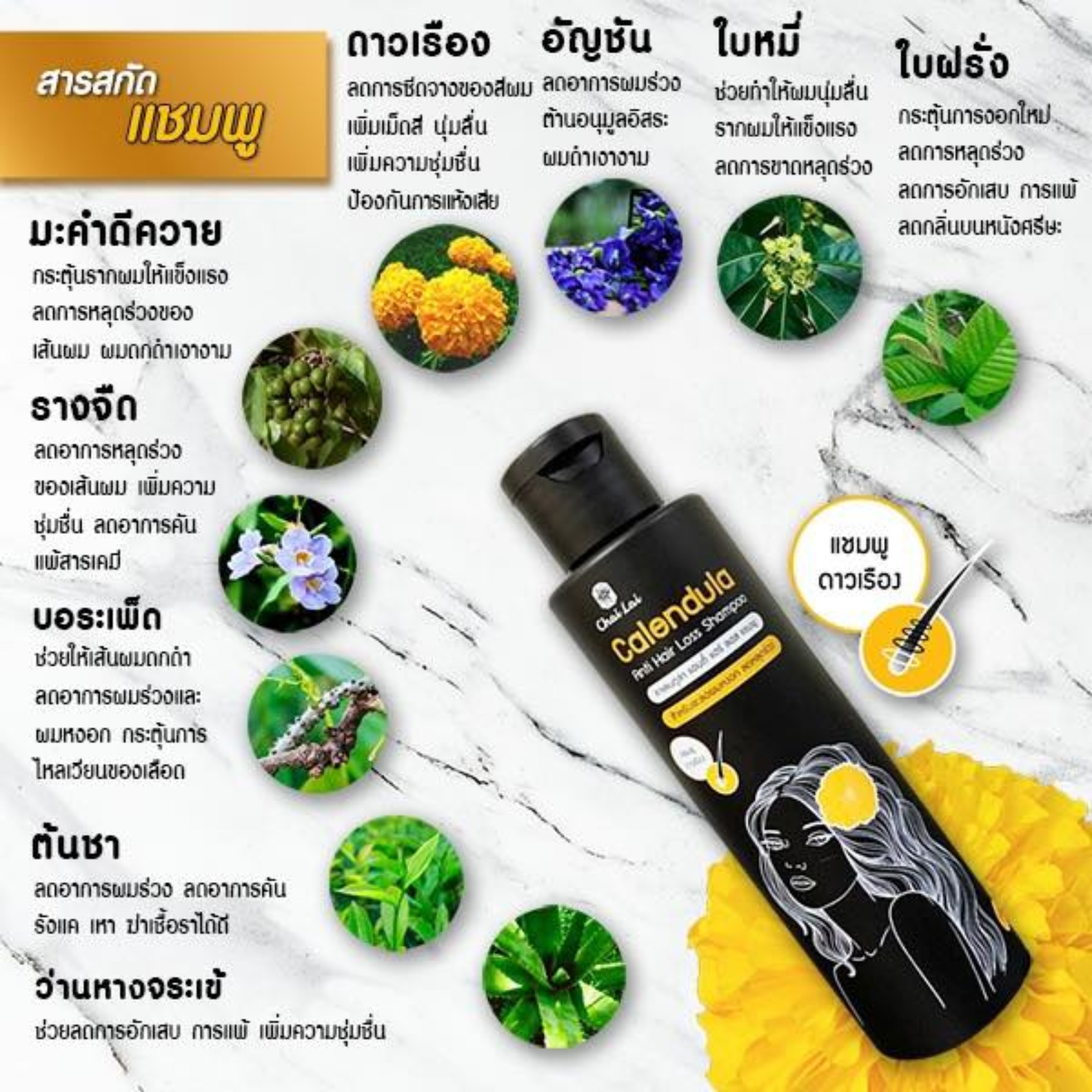 แชมพูดาวเรือง ไฉไล Chai lai Calendula Hair Shampoo ( 150 ml. ) [ ใช้ ...