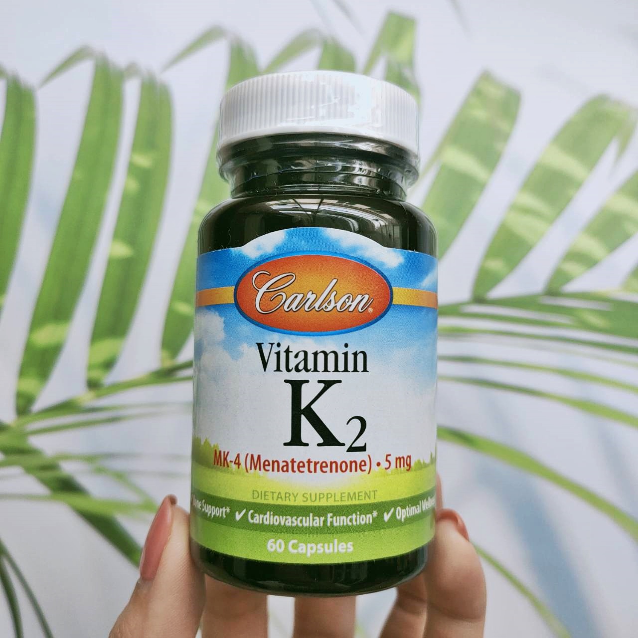 Vitamin K2 (MK-4) วิตามินเคสอง 5 mg 60 Capsules (Carlson Labs®) as MK-4 ...