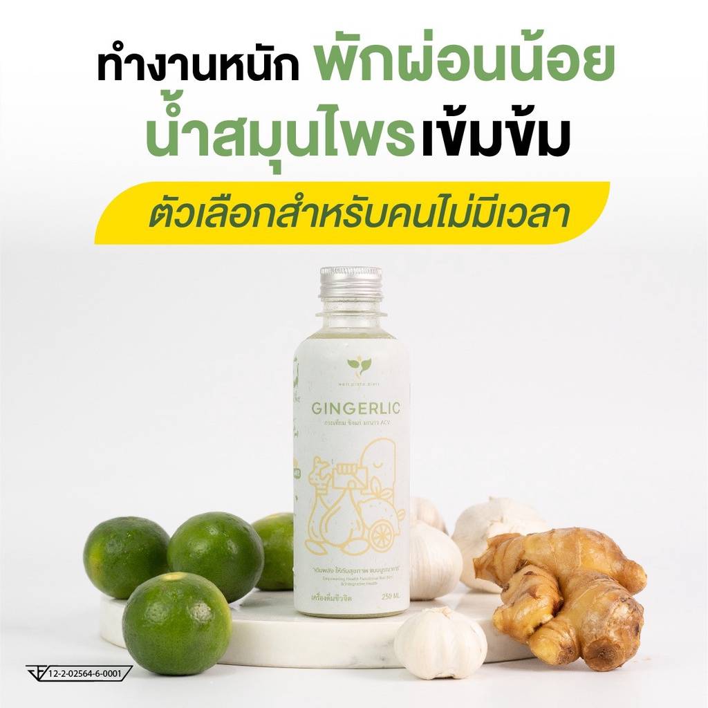 GINGERLIC เครื่องดื่มสมุนไพรสกัดเย็น กระเทียม ขิง มะนาว น้ำแอปเปิ้ลไซเดอร์ เครื่องดื่มเพื่อ ...