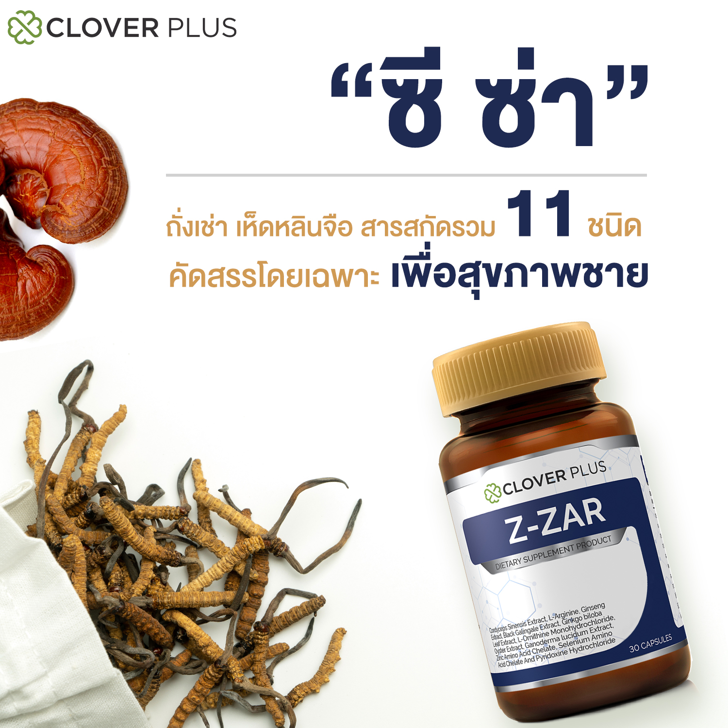 พิเศษ Clover plus Z-ZAR 1กระปุก 30 cs (ขวด) แถม Dary Vit D วิตามิน D 30 ...