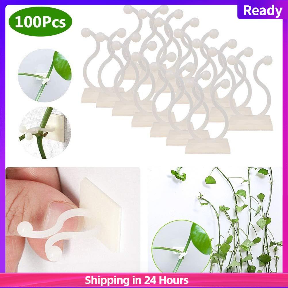 50Pcs Climbing Plant Fixture Clips Garden Vines Sticky Clips Wall Vines ...