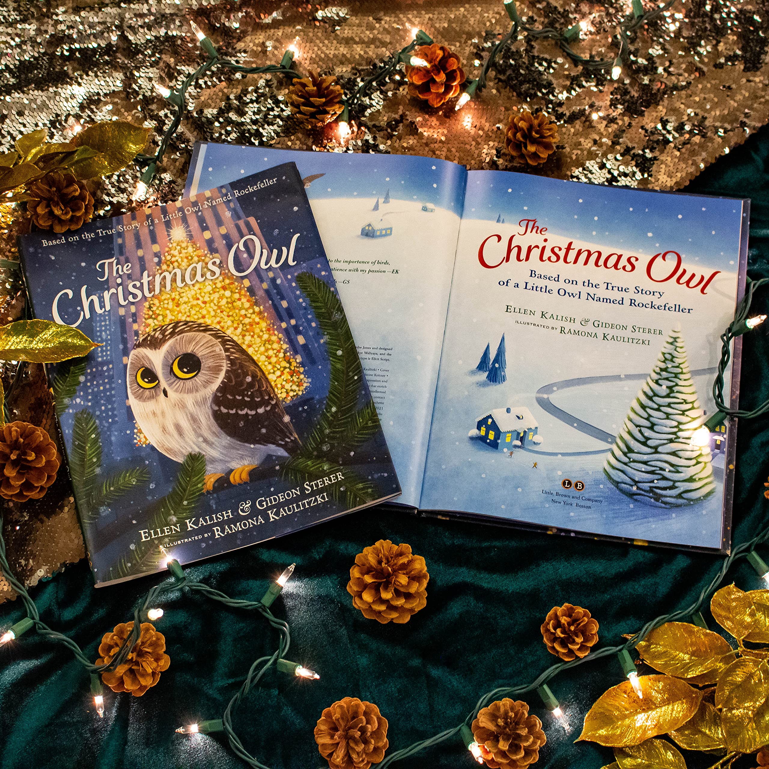 The Christmas Owl Based on the True Story of a Little Owl Named ...
