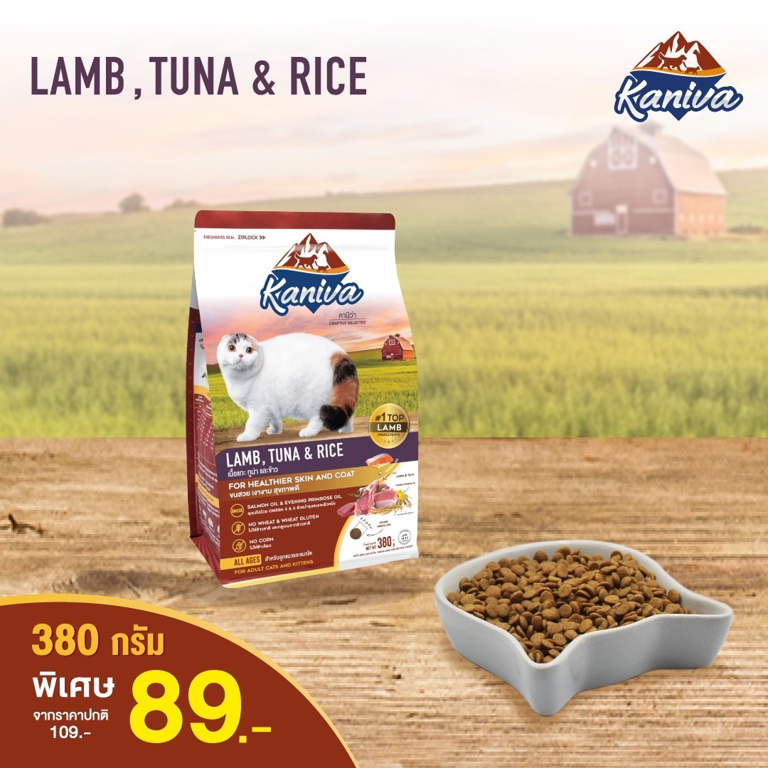 เนื้อแกะ Kaniva (คานิว่า) อาหารแมว สูตรเนื้อแกะ ทูน่า และข้าว (380 กรัม/ 1ถุง) - ทาสแมว - ThaiPick