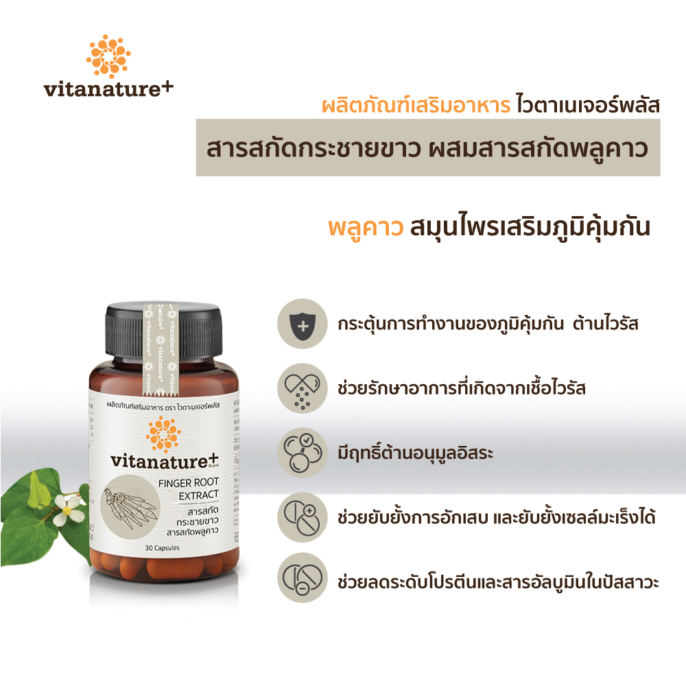 Vitanature+ Finger root extract with Plu kaow 3 กระปุก ไวตาเนเจอร์พลัส ...
