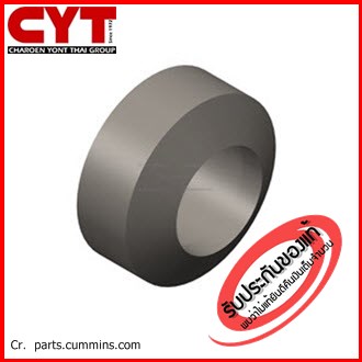 ยางตาไก่ลูกเต๋าโซล่า 5/16" (3002150) KTA19,KTA38,KTA50 | Ferrule Seal ...