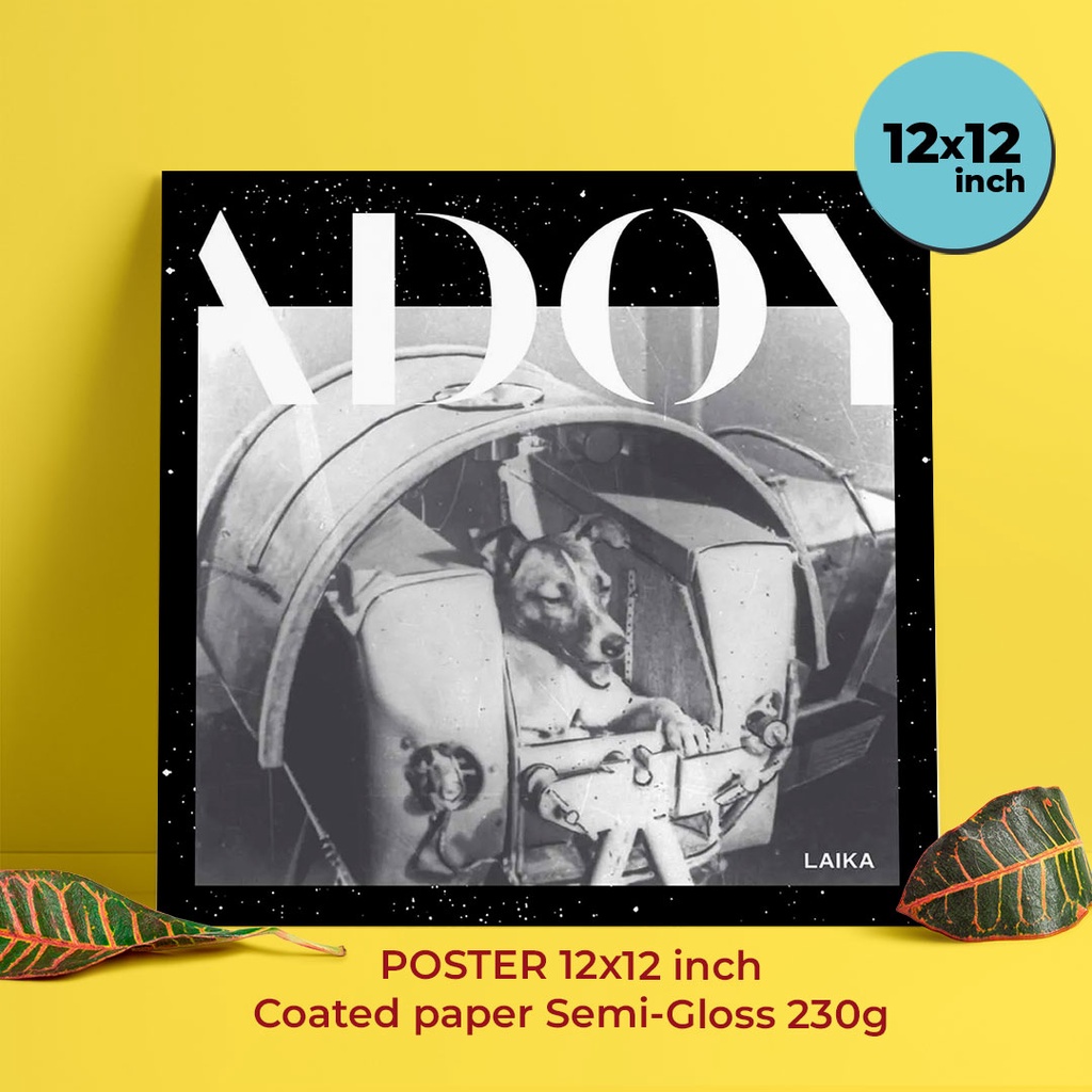 ADOY Poster 12x12 inch โปสเตอร์ภาพปกอัลบั้ม อะดอย วงซินธ์ป๊อปเกาหลี ...