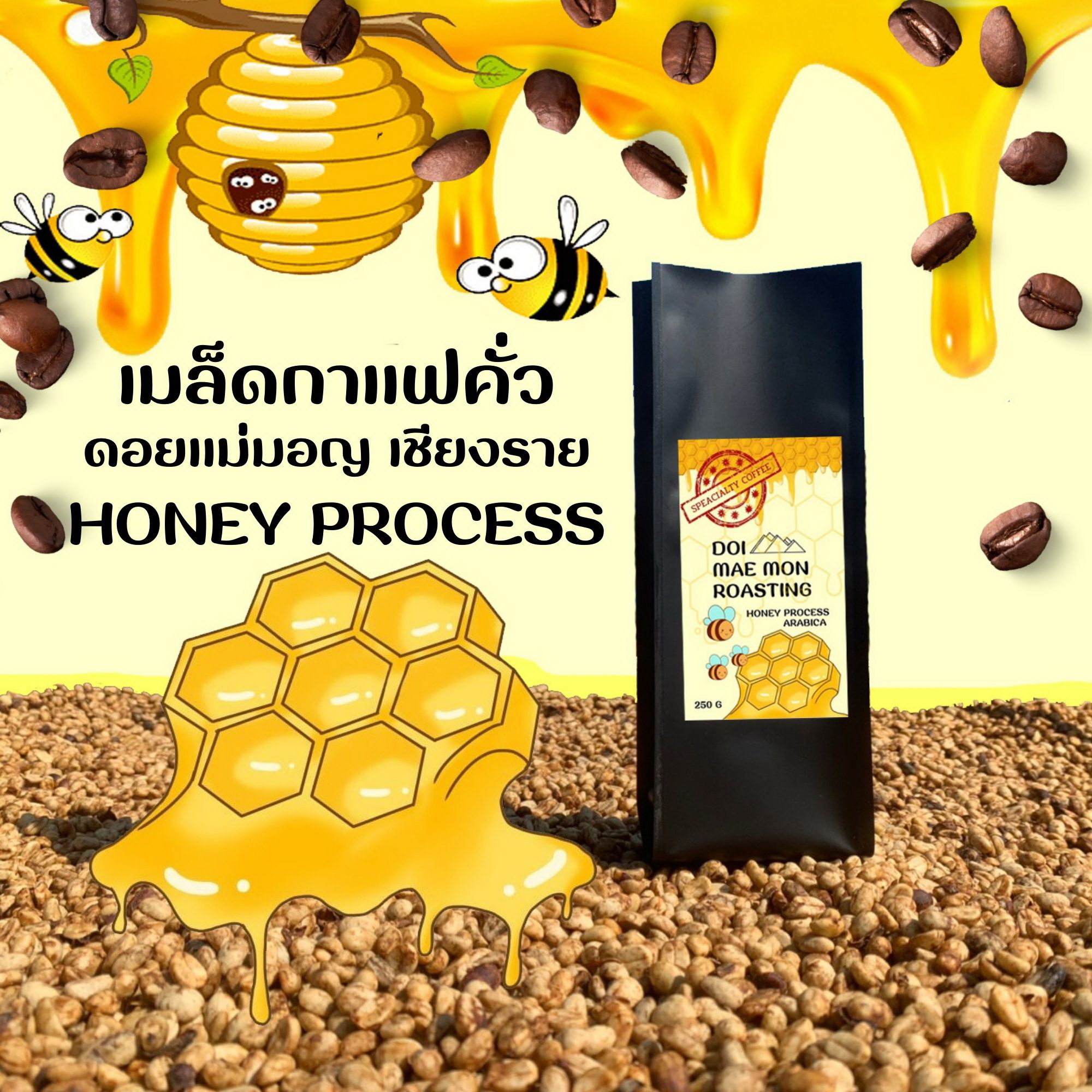 เมล็ดกาแฟคั่ว ฮั่นนี่โพรเซส(honey process) อาราบิก้า ดอยแม่มอญ เชียงราย | Lazada.co.th