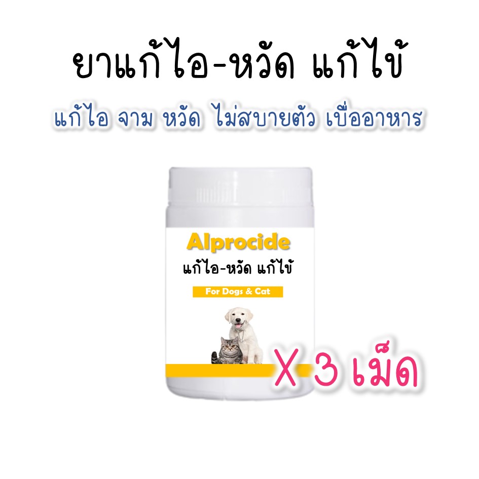 Alprocide แก้ไอสุนัข แมว แก้ไข้ จาม แก้หวัด (ชุด 3 เม็ด) - AEP SHOP ...