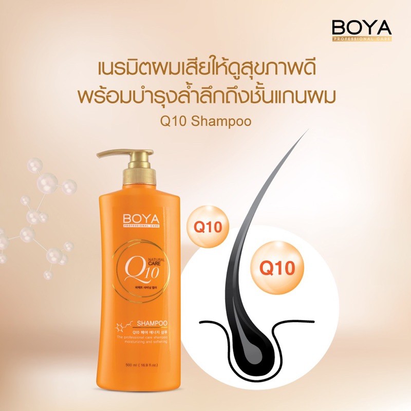 แชมพู BOYA Q10 SHAMP0O 500 ml (ขวดสีส้ม) - Tokjay.shop63 - ThaiPick