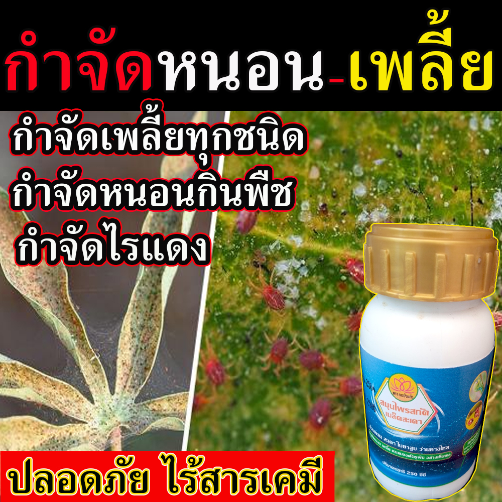 ดีทรอยด์35 ไซเปอร์เมทริน35% น๊อคแมลงทุกชนิด กำจัดแมลง ไซเปอร์35 100ซีซี ...