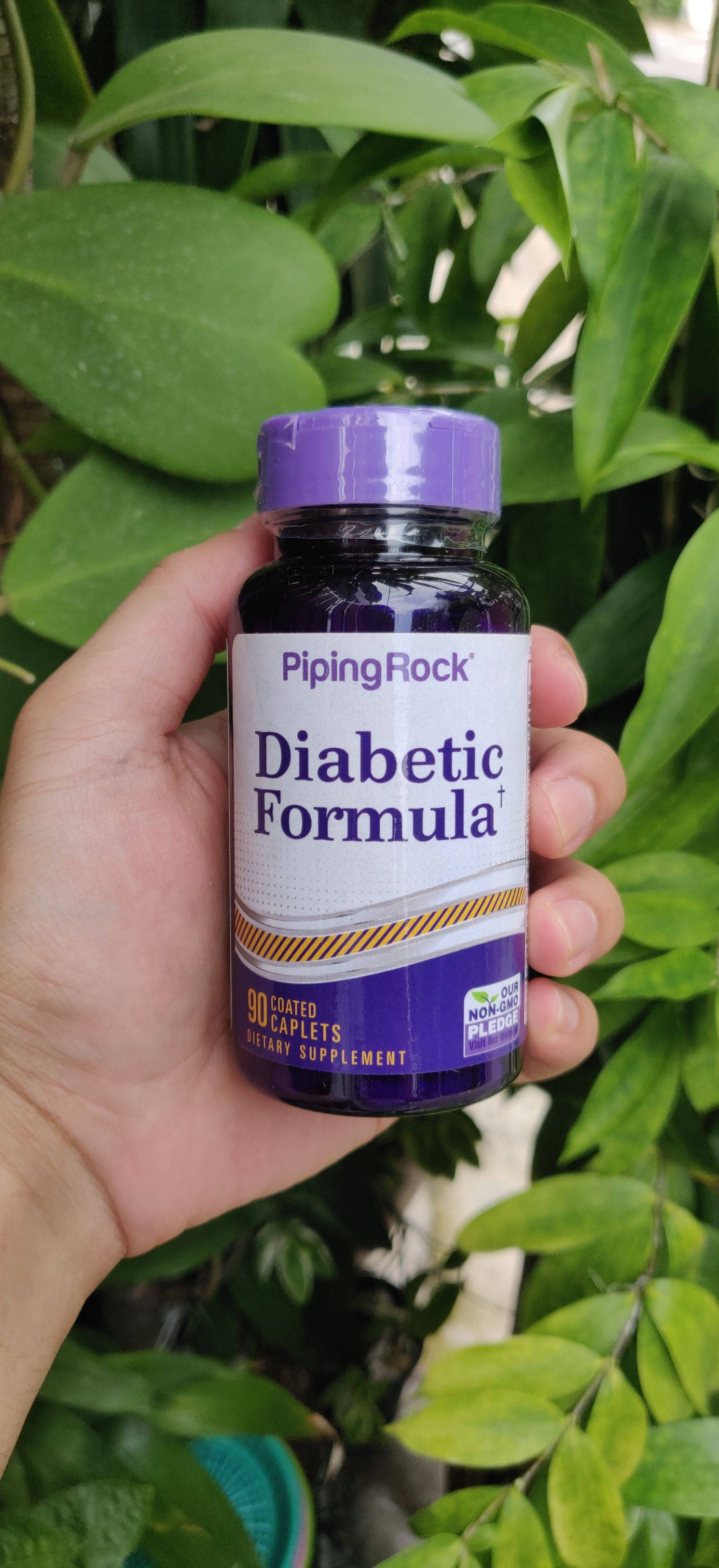 Diabetic Formula, 90 Coated Caplets - vitamin6395 - ThaiPick