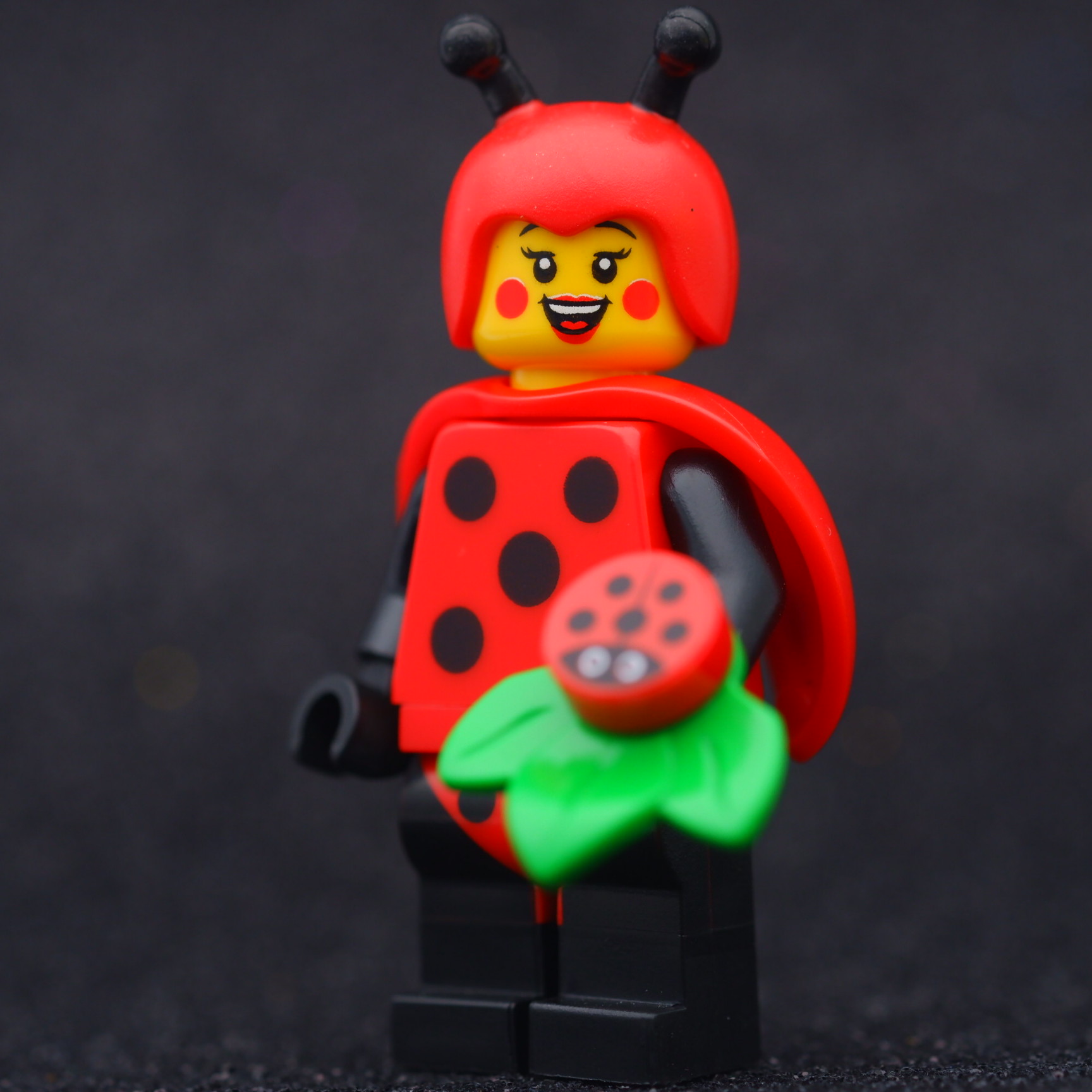 ( PLOYBRICK ) LEGO authentic สินค้าแท้ 100% - Ladybug Girl Series 21 ...
