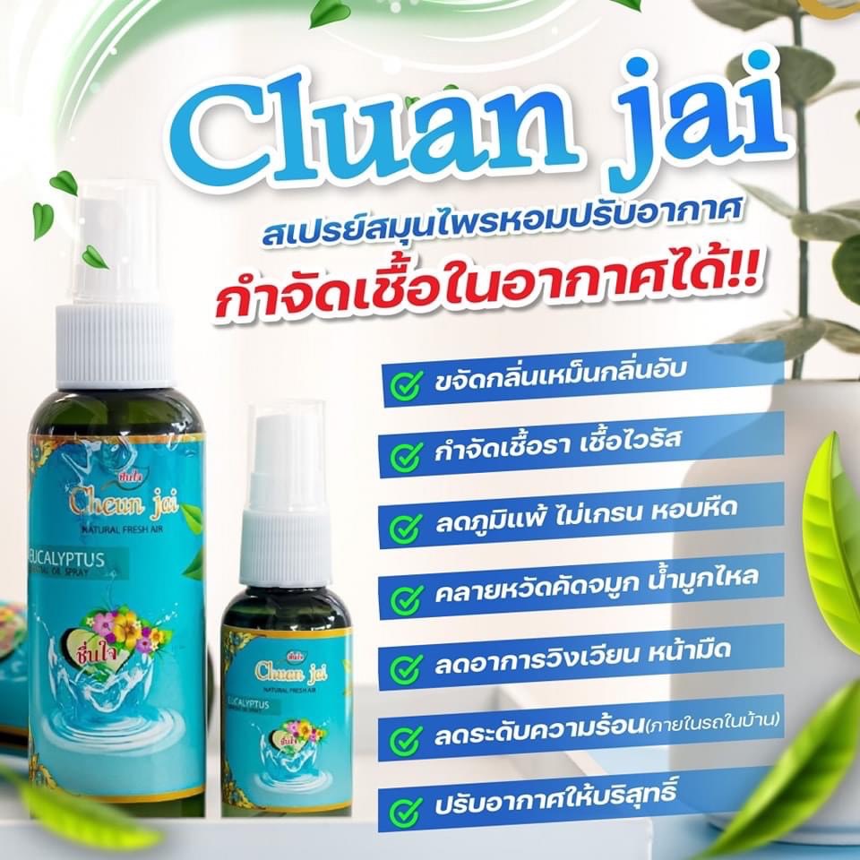 (5 ขวด)cheun jai ชื่นใจ สเปรย์สมุนไพรปรับอากาศ 30ml - Baikaw125 - ThaiPick