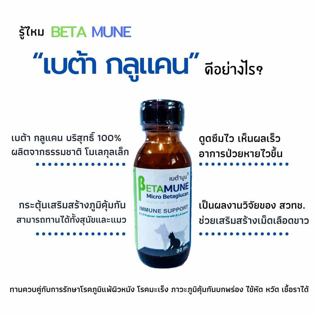 เบต้ามูน เบต้ากลูแคน วิตามินกระตุ้นภูมิคุ้มกัน Betamune ช่วยเสริมสร้าง ...