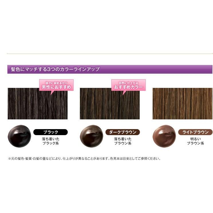 DHC Q10 Revitalizing Hair Care Quick Retouch Hair Color ครีมป้ายผมปกปิด ...